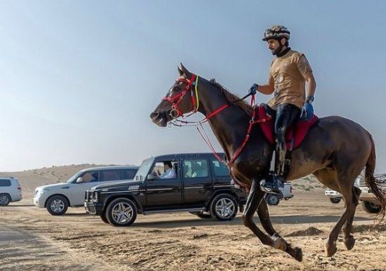 Zo traint de premier van de VAE z'n racepaarden
